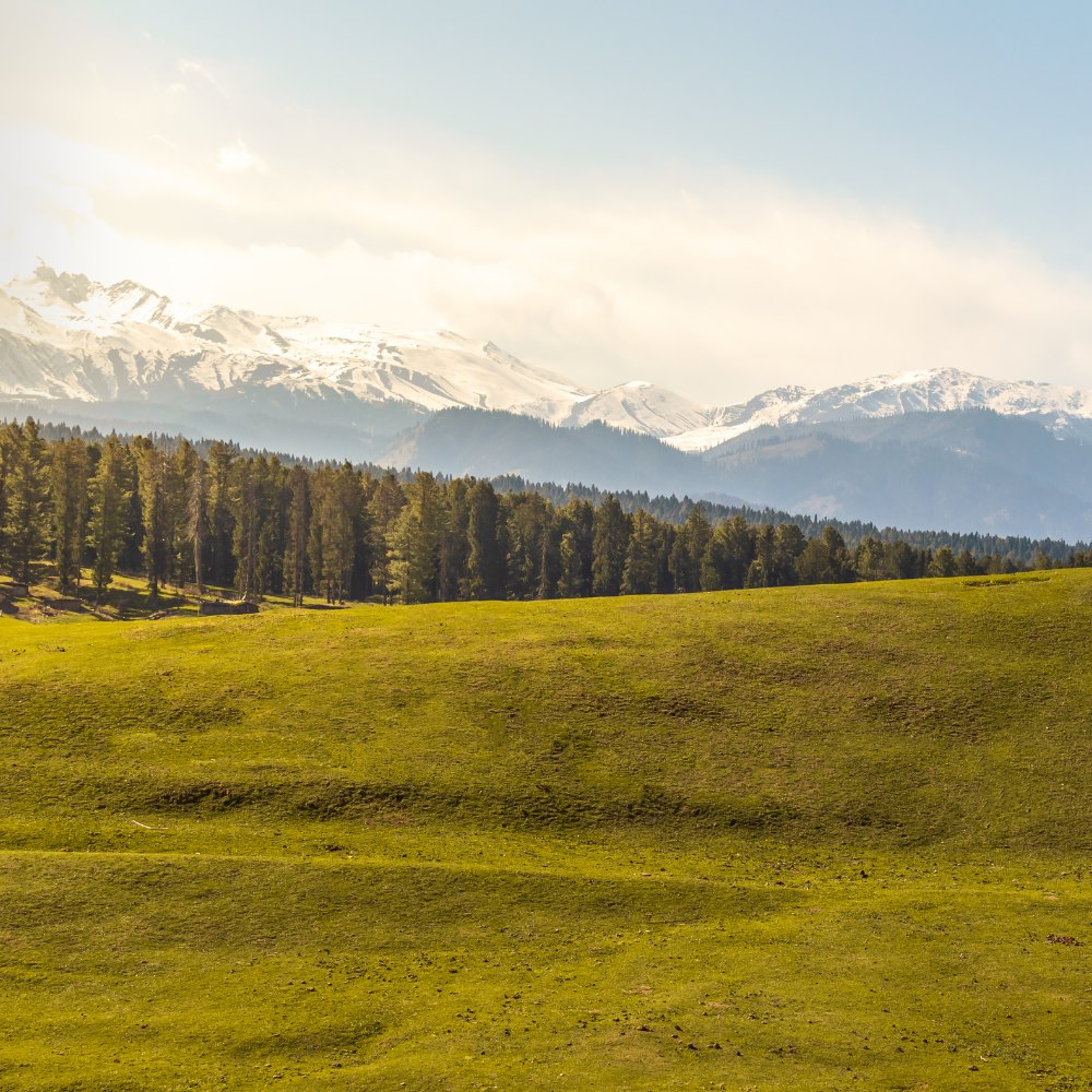 A Journey Through the Jewels of Kashmir