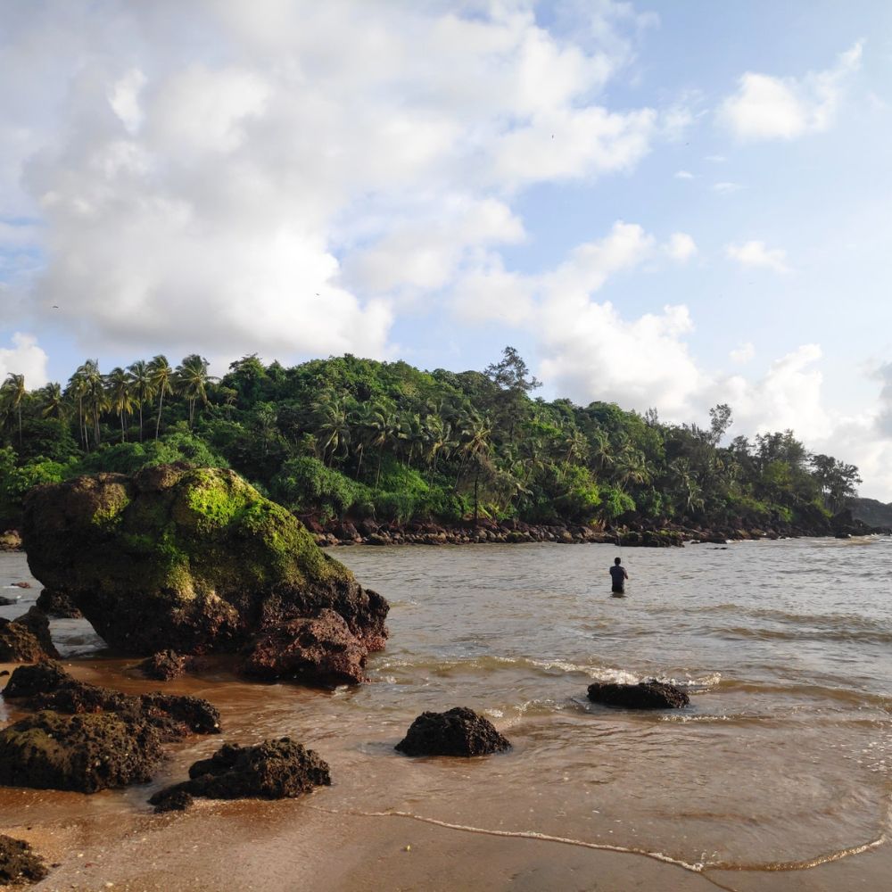 Top Eco-Tourism Destinations in India