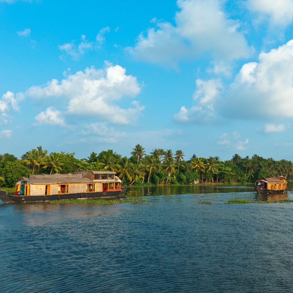 Top Eco-Tourism Destinations in India