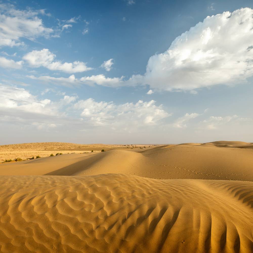 Jaisalmer Desert Festival - A cultural festival in Thar Desert