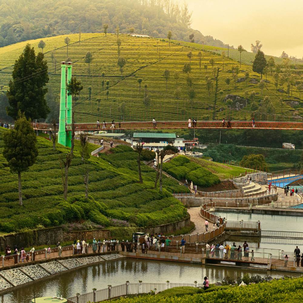 Top 10 Tourist Places in Ooty for a Scenic Holiday