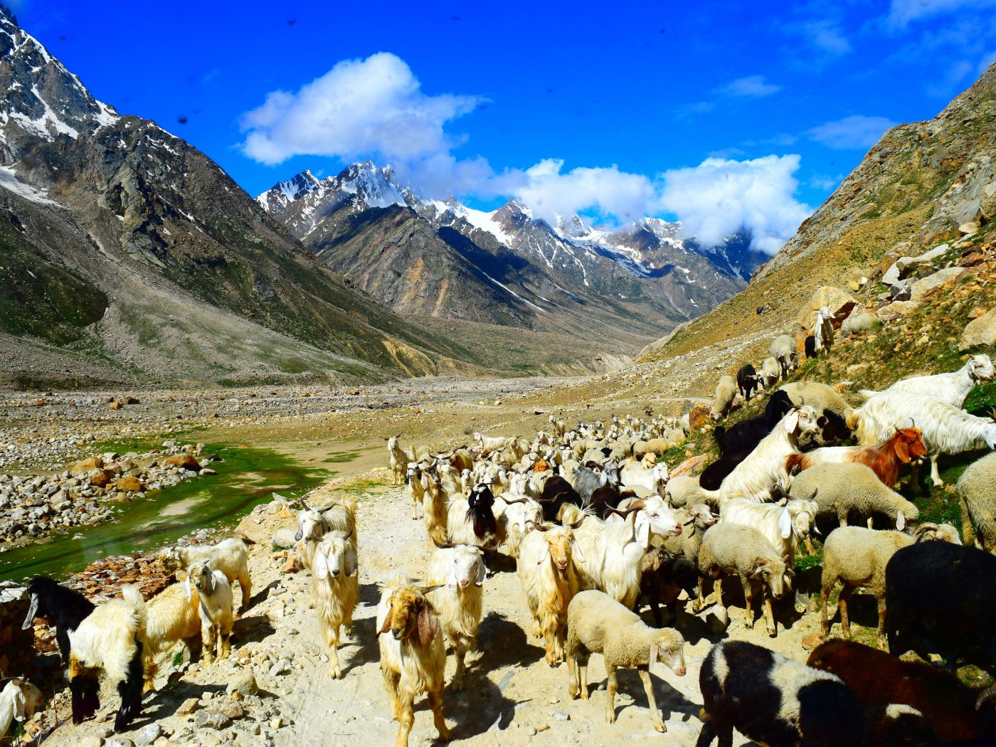 Chandratal Lake - Tourist Attractions and Chandratal Lake Tour Package