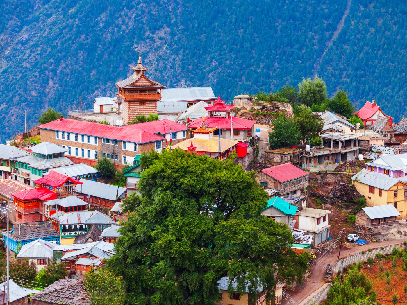 Places to Visit in Kalpa, Tourist Attractions, and Things to do